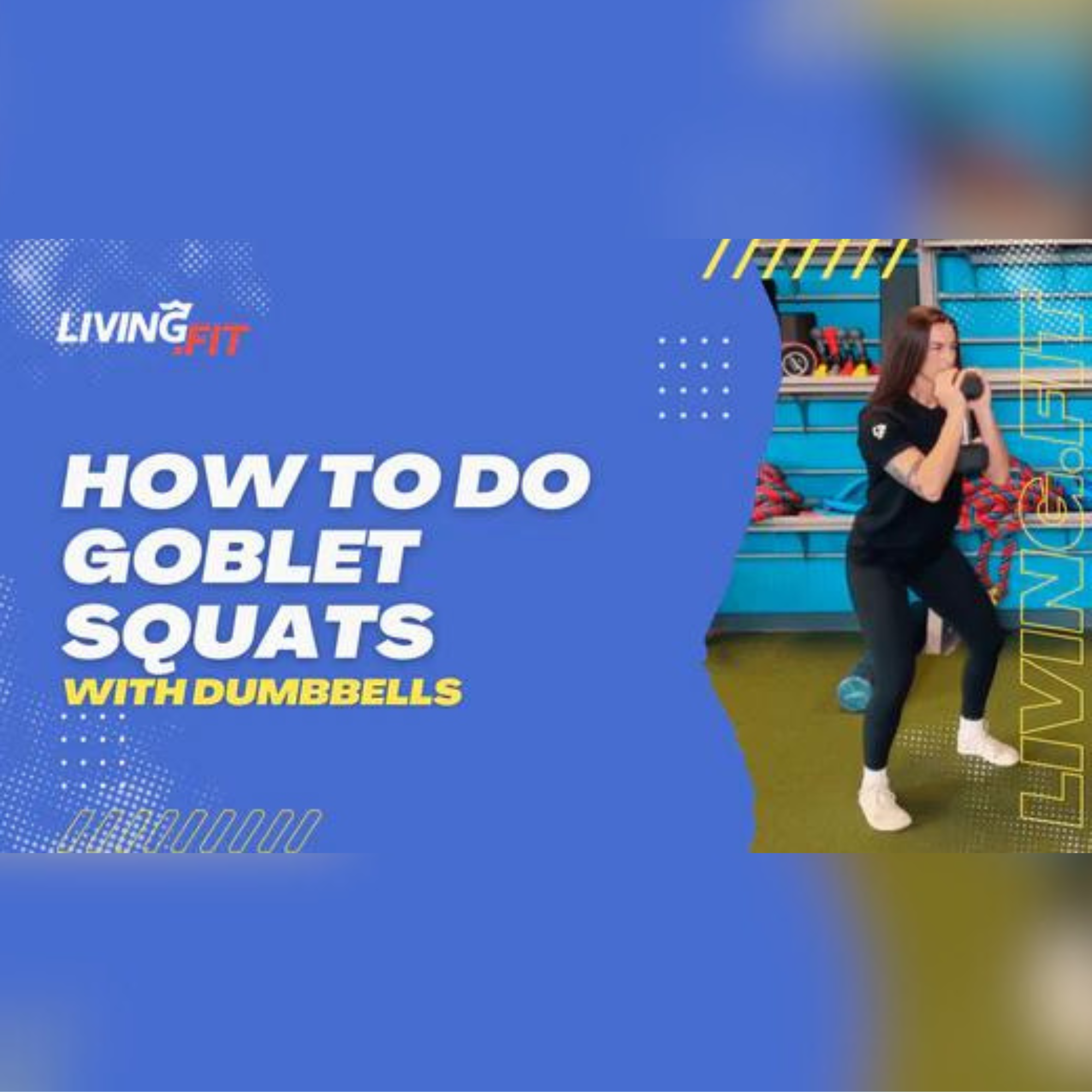 How To Do Goblet Squats With Dumbbells – Living.Fit