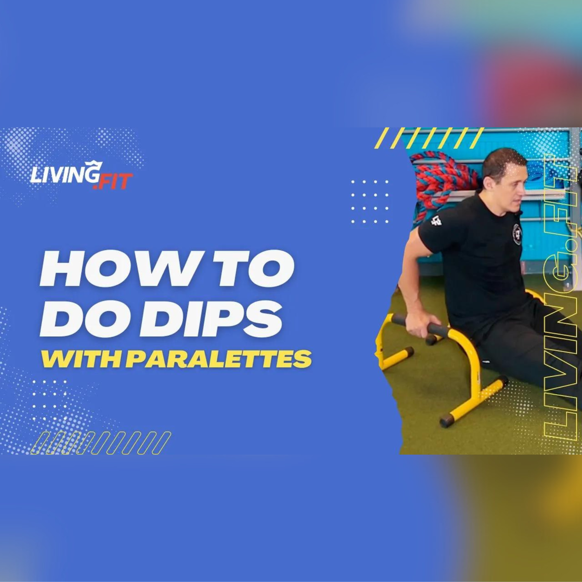 How to Do Seated Dips with Parallettes – Living.Fit