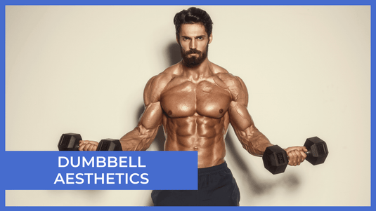 Buy Dumbbell Aesthetics Program at Living Fit – Living.Fit