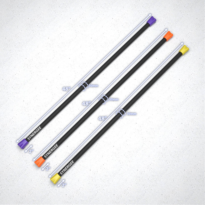 Synergee Weighted Workout Bars – Living.Fit