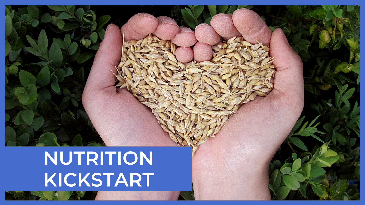 Nutrition Workout Plans – Living.Fit